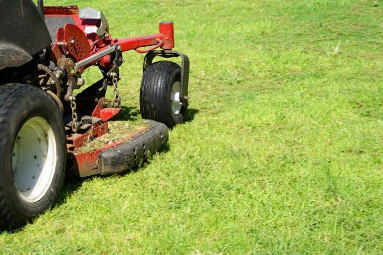 7 Best Commercial Walk Behind Mowers [2023 Buying Guide]